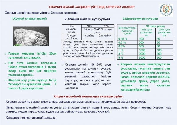 Үер усны үед халдварт өвчнөөс хэрхэн сэргийлэх вэ Өглөө мн