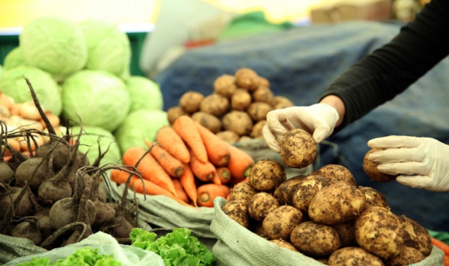 Алтан намар үзэсгэлэн худалдаанд 240 гаруй ногоочид оролцож байна Өглөө мн