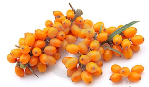 Дархлаа дэмждэг хүнсний бүтээгдэхүүн – Өглөө.мн